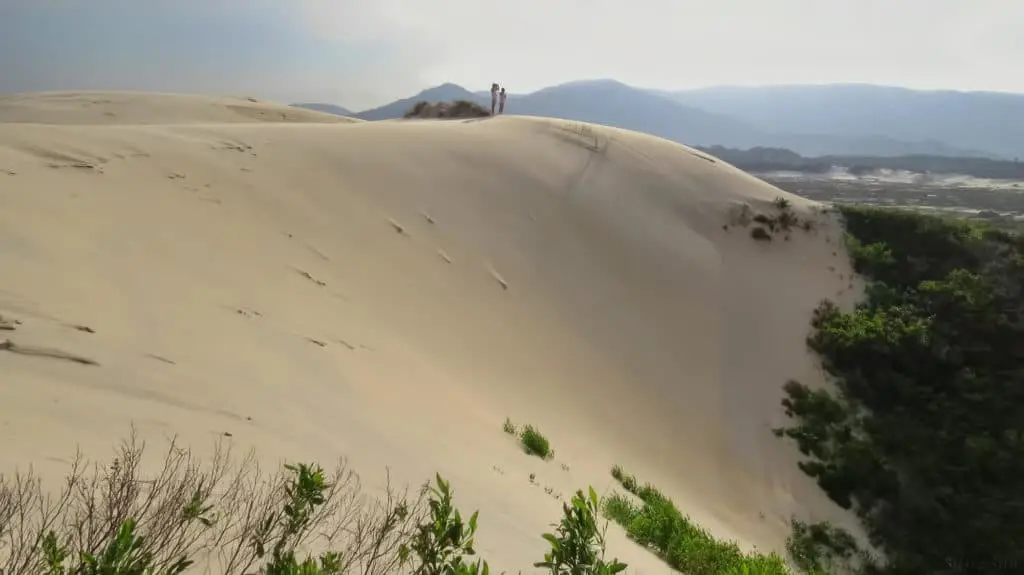Praia da Joaquina: o que fazer e como aproveitar as dunas