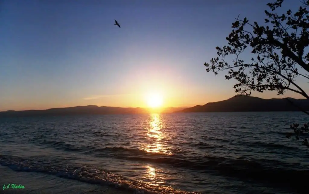 Conheça a Praia da Daniela, a praia vizinha a Jurerê Internacional